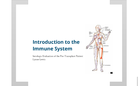 Introduction to the Immune System by Shelly Pignataro on Prezi