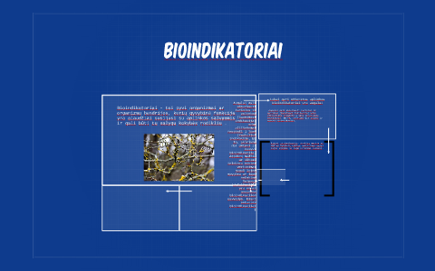 Bioindikatoriai by Lukas Zdanavicius on Prezi
