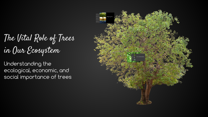 The Vital Role of Trees in Our Ecosystem by Eman Altork on Prezi