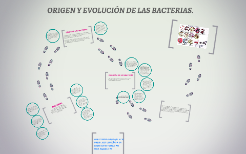 ORIGEN Y EVOLUCIÓN DE LAS BACTERIAS. by Maria Londoño Sierra on Prezi