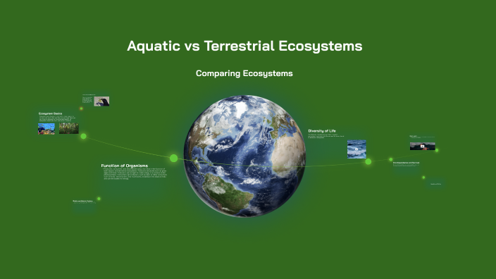 Aquatic vs Terrestrial Ecosystems by Lucas Pratt _ Student - ParksideES ...