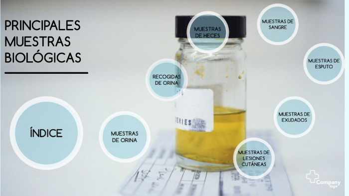 Principales muestras biológicas by putiferios putifericas on Prezi