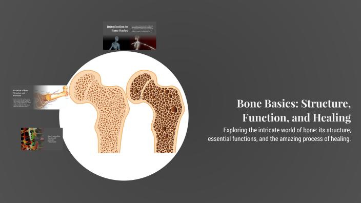 Bone Basics: Structure, Function, and Healing by mahmoud bakry on Prezi
