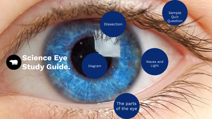 Science Eye Study Guide by gavin jiang on Prezi