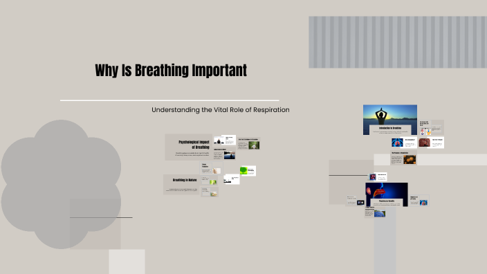 Why Is Breathing Important by G C on Prezi