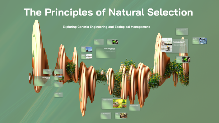 The Principles of Natural Selection by anita farokhi on Prezi