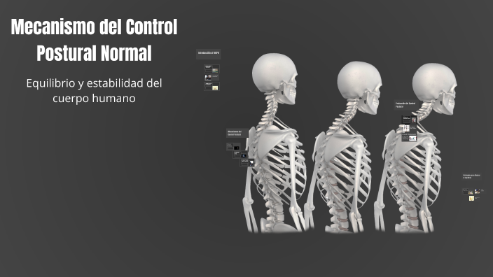 Mecanismo del Control Postural Normal by LEONARDO JAVIER MAISA ...