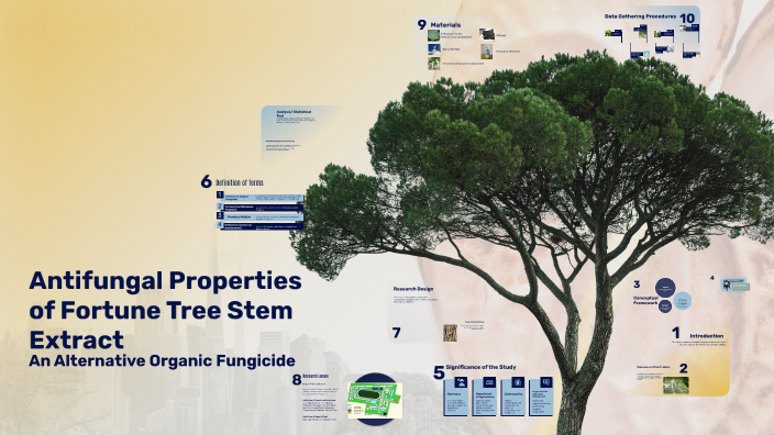 Antifungal Properties of Fortune Tree Stem Extract by Aljean Klyd Tabla ...