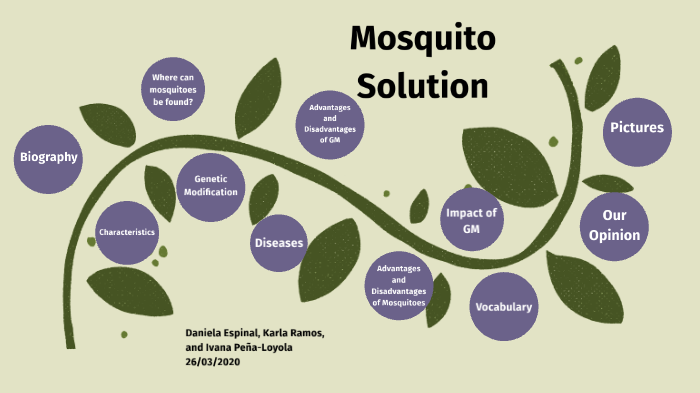 Mosquito Solution by Daniela Espinal on Prezi