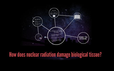 Damage from Nuclear Radiation on Biological Tissue by Mikayla Stuart on ...