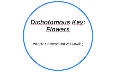 Dichotomous Key: Flowers by Michelle Cameron on Prezi