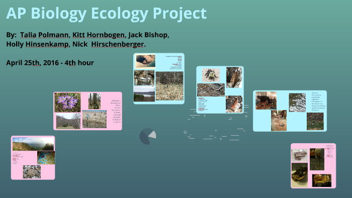Ap Bio Ecology Project: by talia polmann on Prezi