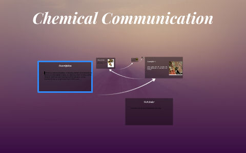 Chemical Communication by sean isaacson on Prezi