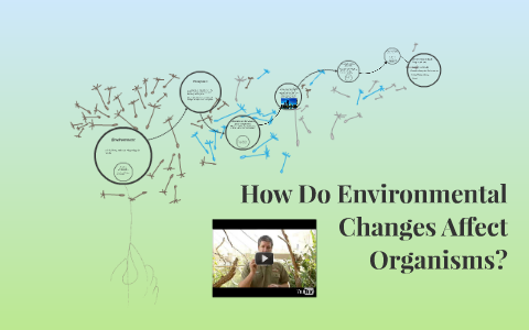 How Do Environmental Changes Affect Organisms? by Ashley Bedsole on Prezi