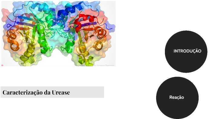 Caracterização da Urease by Laynna Cruz on Prezi