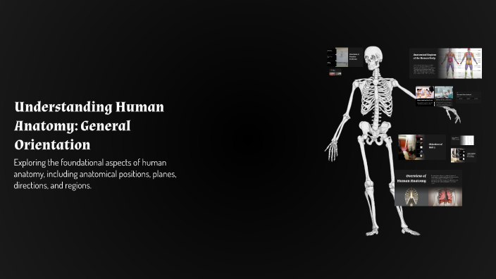 Understanding Human Anatomy: General Orientation by Joe Aye on Prezi