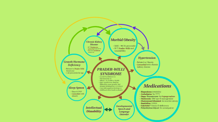 Prader-Willie Syndrome by derek evans on Prezi