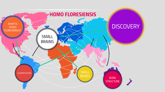 Homo Floresiensis by Aurielle Monique Gonzales on Prezi