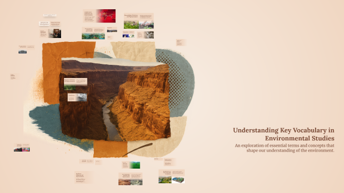 Understanding Key Vocabulary in Environmental Studies by Mohamed ...