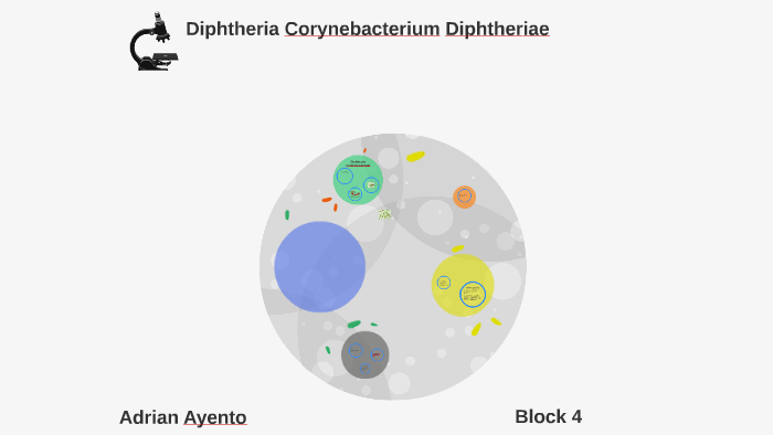 Corynebacterium Diphtheriae Chinese Letters