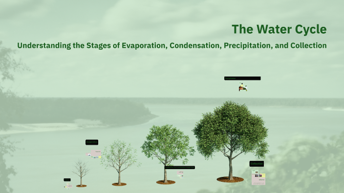 The Water Cycle by Kenzie Feeney on Prezi