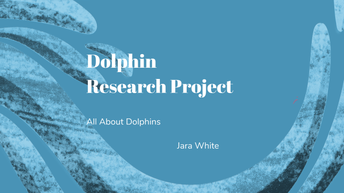 Dolphin Research Project by Jara White on Prezi