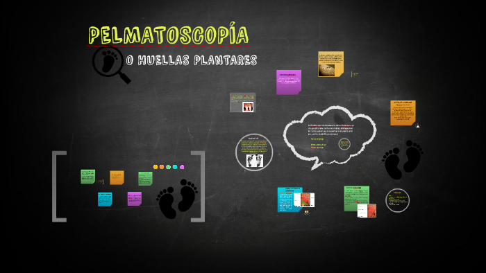 PELMATOSCÓPIA by larissa vazquez on Prezi