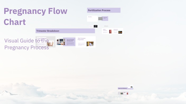 Pregnancy Flow Chart by Ryan Bancells on Prezi