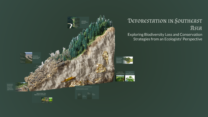 Deforestation in Southeast Asia by Jacob Brower on Prezi