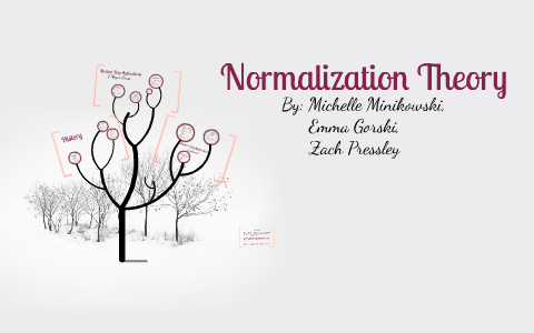 Normalization Process Theory
