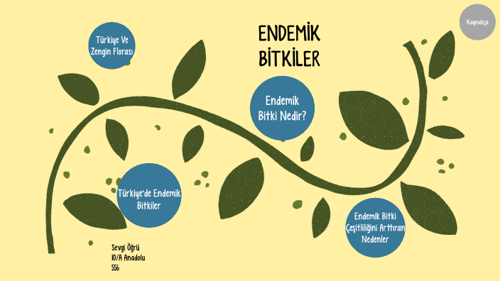 Endemik Bitkiler by sevgi öğrü on Prezi