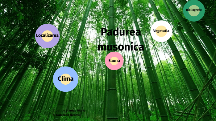 Padurea Musonica by Maria Lungu on Prezi