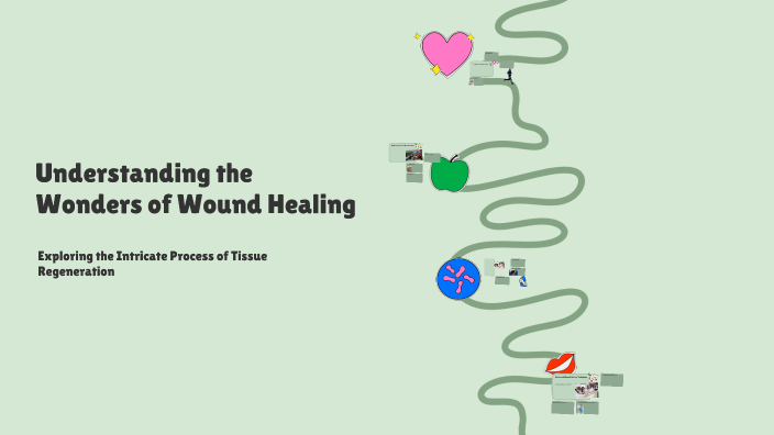 Understanding the Wonders of Wound Healing by ffe hg on Prezi