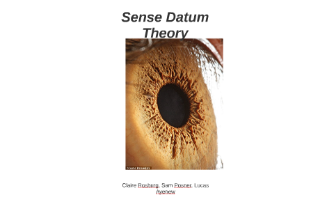 Sense Datum Theory by Lucas Ayenew on Prezi