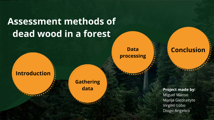 Assessment methods of dead wood by Maryte Giedra on Prezi