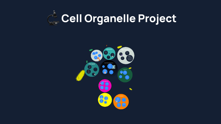 ap bio cell organelle project by emma salinas on Prezi