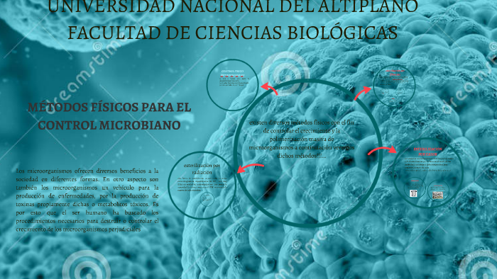 metodos fisicos para el control microbiano by Frank Torres on Prezi