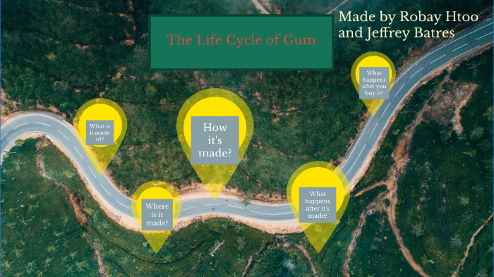 Life Cycle of Gum by Jeffrey Batres on Prezi