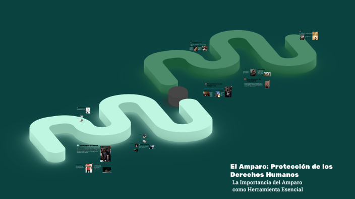 El Amparo: Protección de los Derechos Humanos by Eduardo Adrian ...