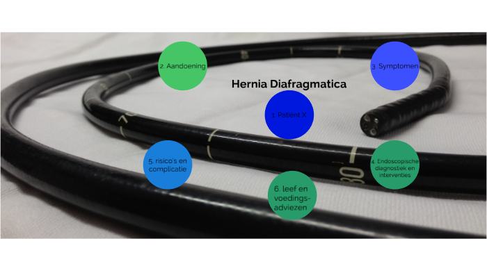 Hernia Diafragmatica by Margo Peeters Weem on Prezi