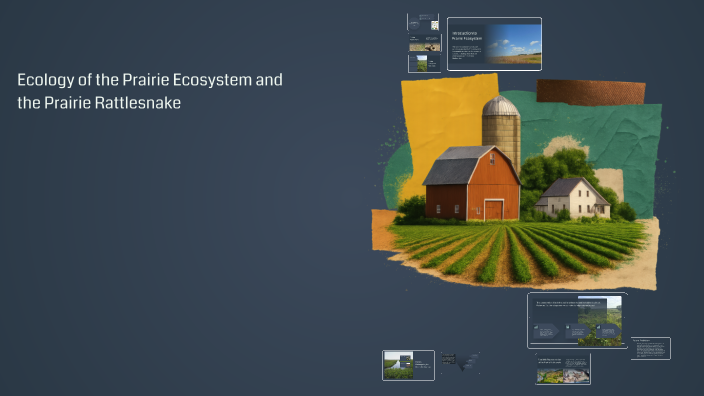 Ecology of the Prairie Ecosystem and the Prairie Rattlesnake by LODU ...