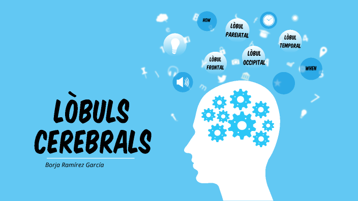 lobul temporal by borja ramirez on Prezi