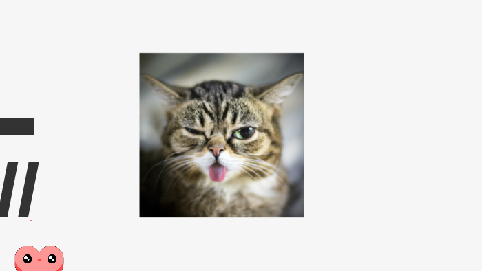 THE ANIMAL CELL by Tyler Stansell on Prezi