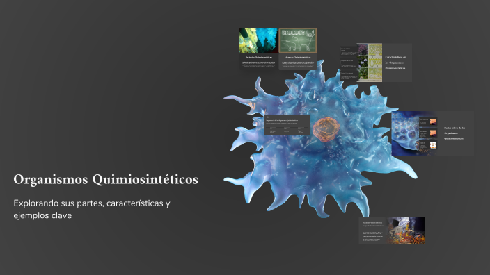 Organismos Quimiosintéticos by camila meza on Prezi