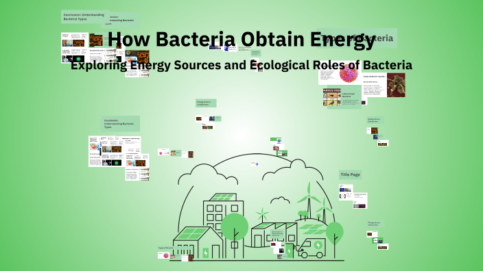 How Bacteria Obtain Energy by Nina Gardner on Prezi