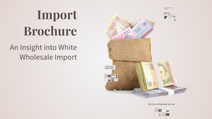 Import Brochure by Марсель Мухаметзянов on Prezi