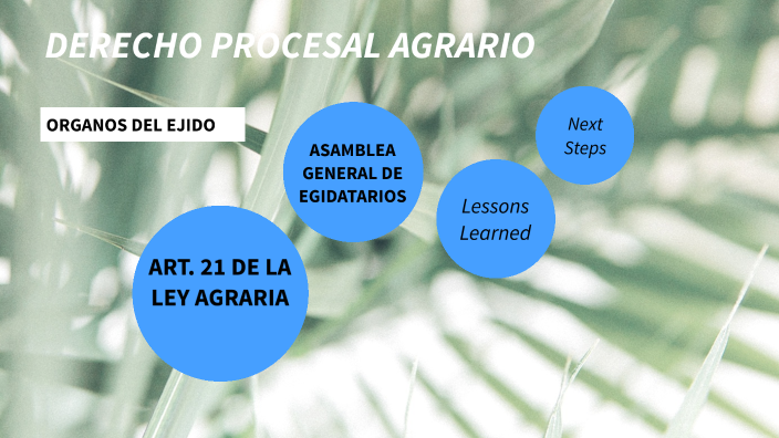 ORGANOS DEL EJIDO by Ana Karen Hernández Solano on Prezi