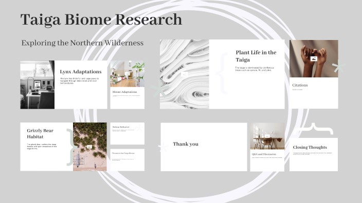 Taiga Biome Research by briar hostetler on Prezi
