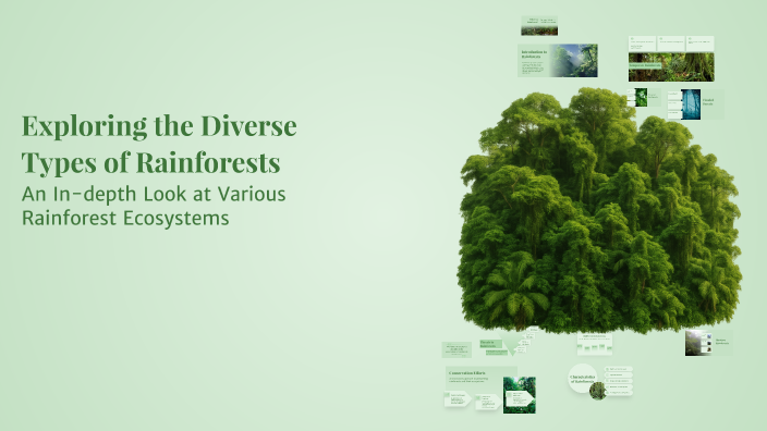 Exploring the Diverse Types of Rainforests by Priti Vaidya on Prezi