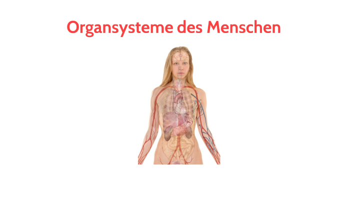 Organsysteme by K. Droste-Gersdorff on Prezi